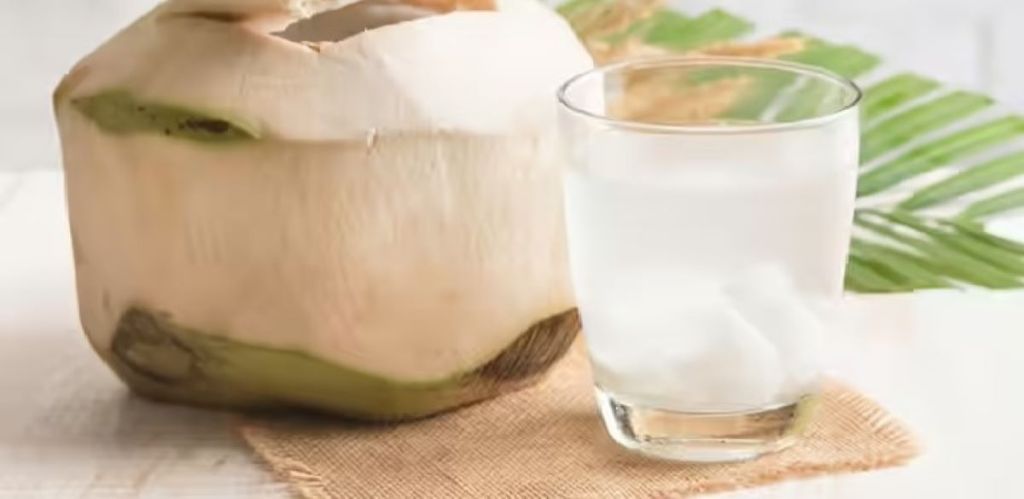 Delapan Manfaat Minum Air Kelapa Muda bagi Kesehatan Delapan Manfaat Minum Air Kelapa Muda bagi Kesehatan